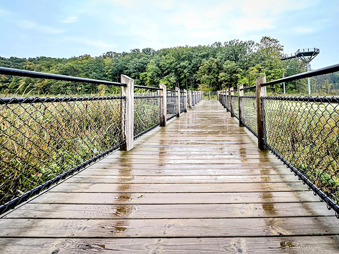 After rain, the boardwalk glistens with moisture, creating a reflective path that mirrors the sky above.