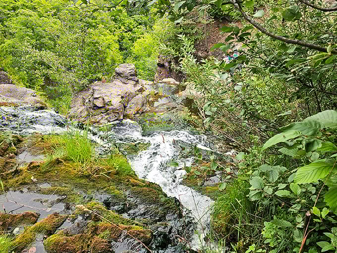 A gentle stream moment before the dramatic plunge. Like the calm opening act before the headliner takes the stage in nature's amphitheater.