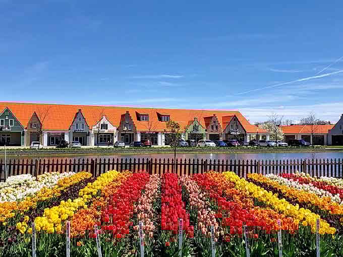 When Mother Nature and Dutch gardening expertise team up, you get tulip displays that make your home garden look like a participation trophy.