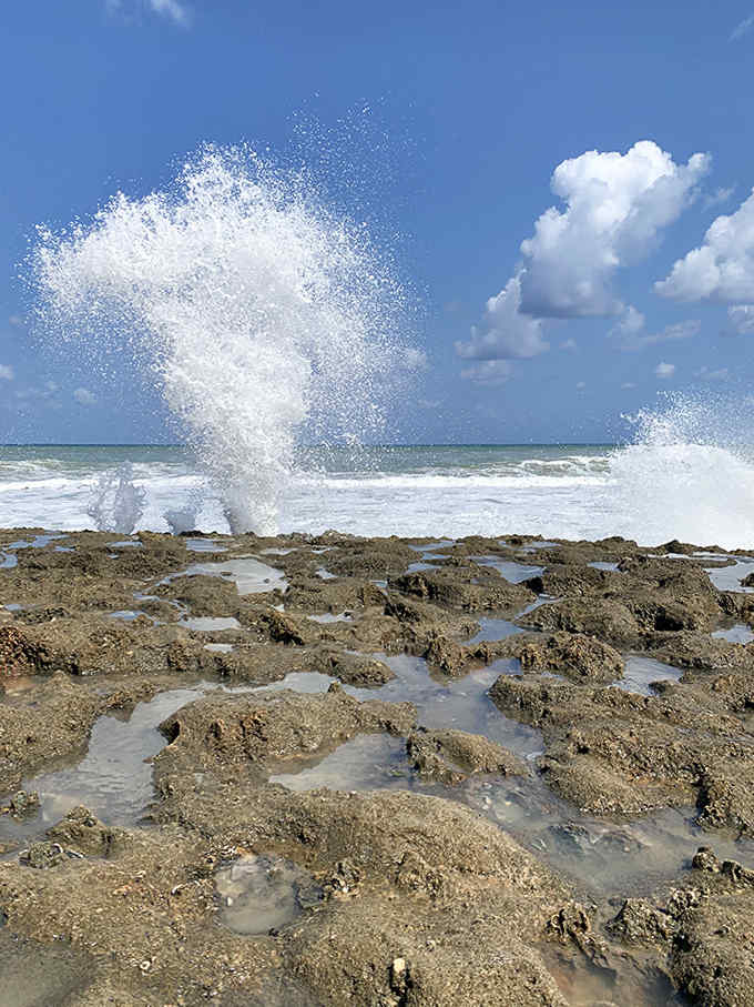 Nature's own version of Old Faithful erupts when high tide forces seawater through ancient limestone tunnels, creating spectacular 50-foot geysers.