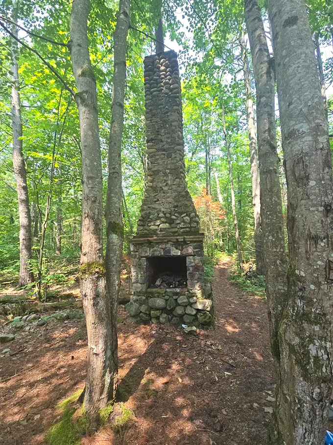 A stone chimney rises defiantly among the trees, the last sentinel of a home where families once gathered around crackling fires.