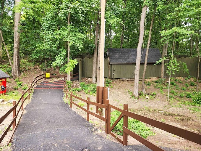 The winding path to the gravity hill builds anticipation perfectly, like the slow climb of a roller coaster before the big drop.