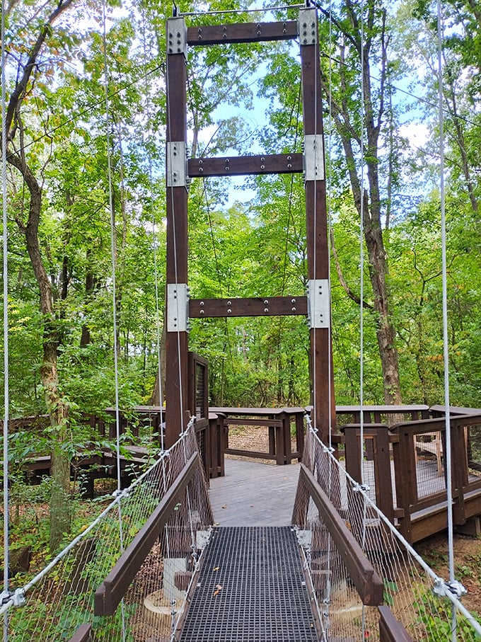 Engineering meets enchantment at this suspension bridge entrance &ndash; your first step into the treetop realm awaits.