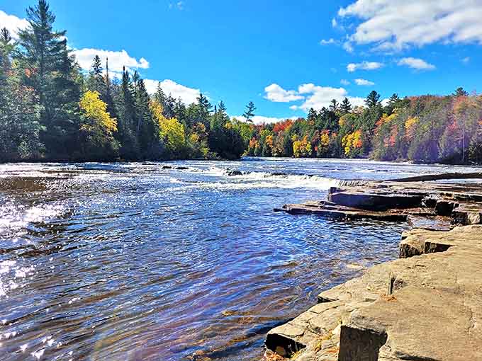 Tahquamenon's Lower Falls dance playfully around an island, proving that sometimes the sequel is just as captivating as the blockbuster original.