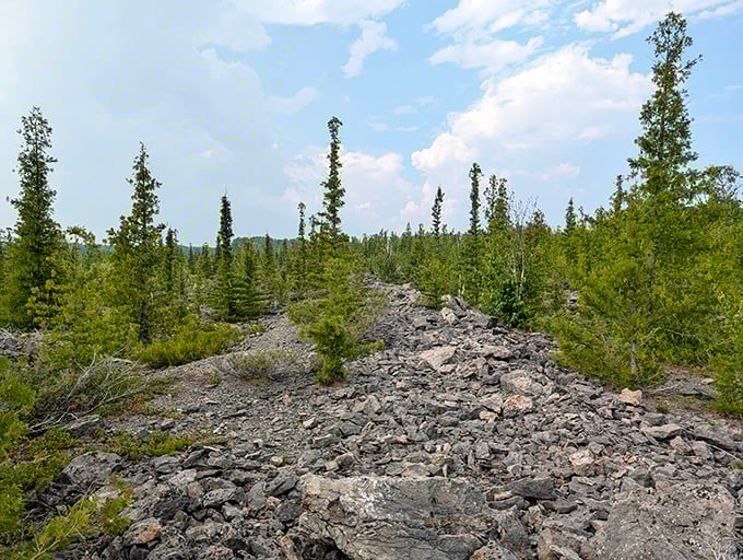 Trail: Rocky terrain creates nature's staircase through young evergreens, where each step reveals Michigan's geological history written in stone.