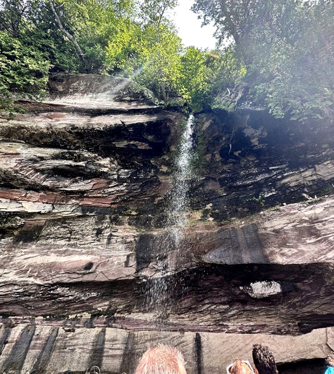 Water taking the express route down, creating nature's shower system that's been running longer than your water bill.