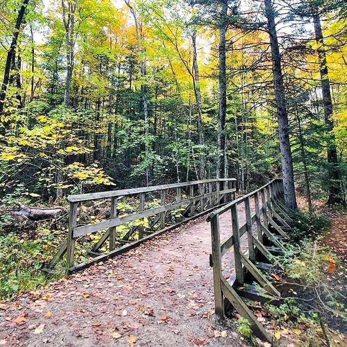 This isn't just any footbridge – it's a portal between everyday life and the kind of natural beauty that resets your soul.