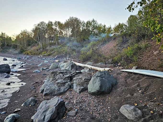 Driftwood storyteller: Each piece of weathered wood carries tales of storms and journeys across the greatest of the Great Lakes.