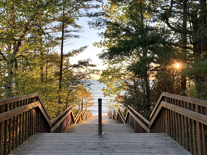The golden hour transforms this wooden walkway into a magical portal between forest and shore – no Instagram filter required.