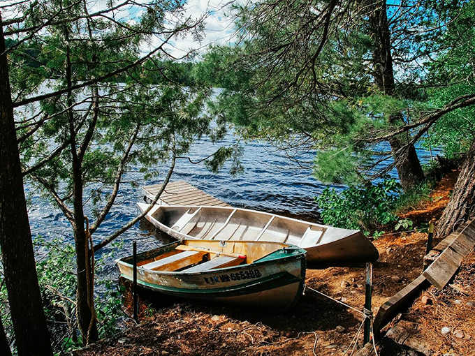 Sailboats dot the horizon like white butterflies on blue silk, adding movement to Lake Huron's vast canvas on a perfect summer day.