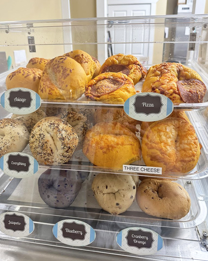 These aren't your average bagels &ndash; they're flavor-packed circles of joy that make breakfast feel like a celebration.