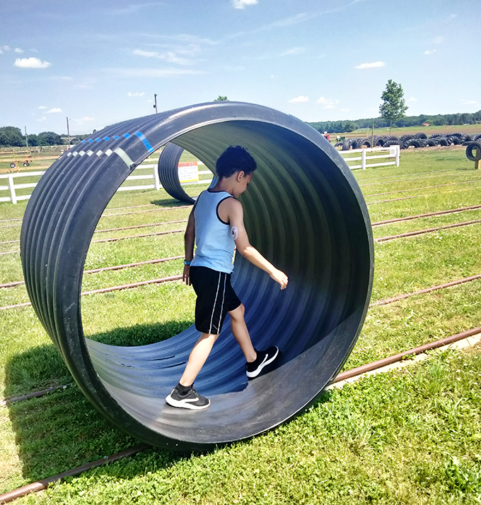 Not your average playground equipment! This giant corrugated tube transforms into a tunnel of giggles for adventurous visitors of all ages.