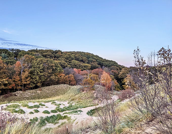 Fall transforms the landscape into a painter's palette of amber, russet and gold, framing the deep blue waters below.