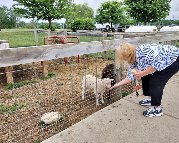 Nothing teaches kids about the circle of life quite like feeding baby lambs &ndash; those tiny tails wagging with each bottle sip!