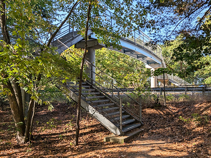 Engineering meets enchantment on this elevated footbridge, offering visitors a squirrel's-eye view of Sleeper State Park's diverse ecosystem.
