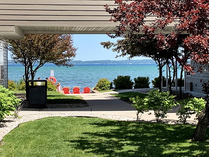 Nature frames the perfect pathway to blue waters, creating a living postcard that no filter could improve.