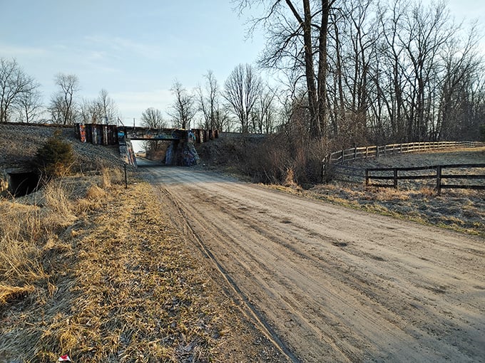 From a distance, the bridge appears as a colorful interruption in the rural landscape, drawing curious explorers down the dirt road.
