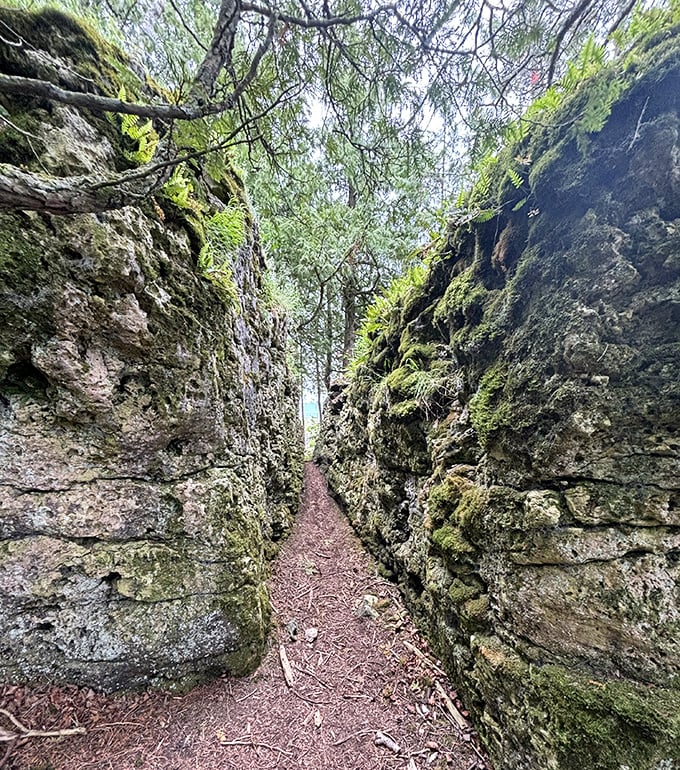 Ancient rock walls create a natural corridor that feels like stepping into the pages of a fantasy novel.