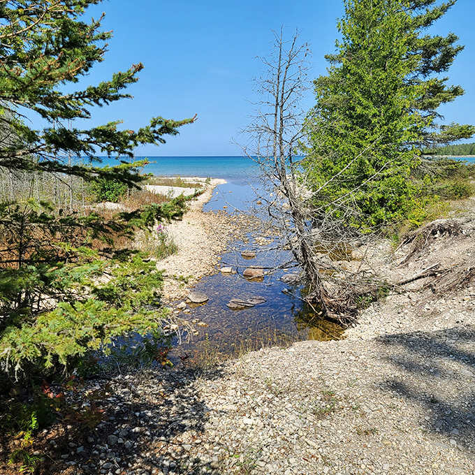 This narrow stream carves its path to Lake Huron, a miniature version of how water has shaped Michigan's landscape for millennia.