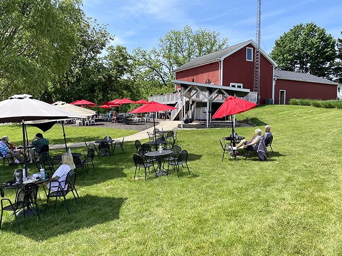 Red umbrellas dot the lawn like oversized poppies, creating perfect islands of shade where visitors sip and savor against a backdrop of vines.