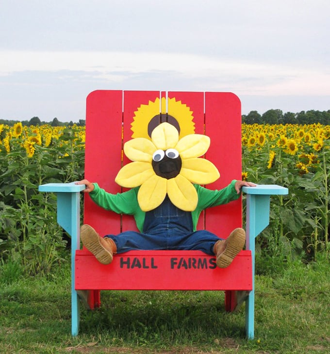 When you love sunflowers so much you become one&mdash;this cheerful mascot brings Hall Farms' sunny personality to life.