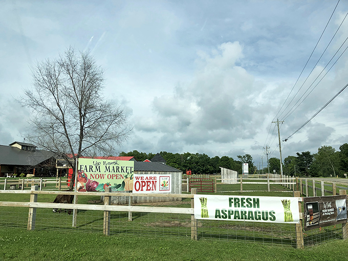 The "We Are OPEN" sign seems unnecessary when the real advertisement is that gorgeous farm backdrop and promise of fresh asparagus.