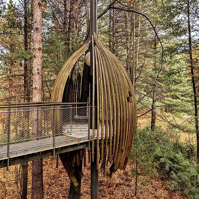 The wooden pod structures aren't just architectural marvels—they're perfect spots for contemplation among the branches.