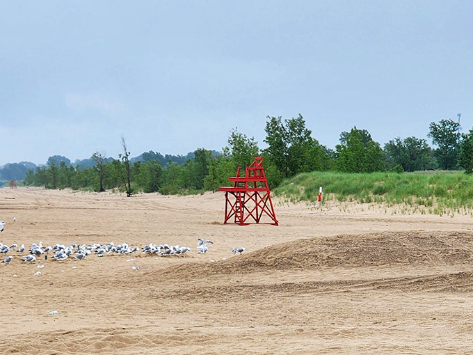 The red lifeguard chair stands sentinel over paradise, a splash of color against nature's perfect blue-and-gold palette.