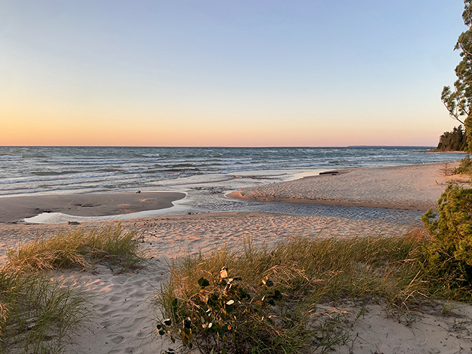 That perfect meeting point where forest gives way to shore, creating nature's most inviting welcome mat.