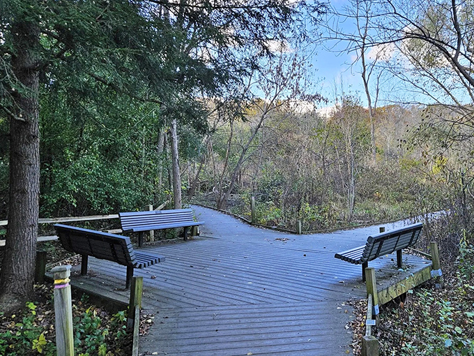 These benches aren't just for sitting – they're front-row tickets to nature's greatest show, no reservation required.