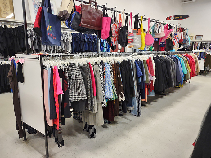 Women's clothing, handbags, and accessories create a vibrant tapestry of fashion history where vintage pieces wait for their stylish comeback.