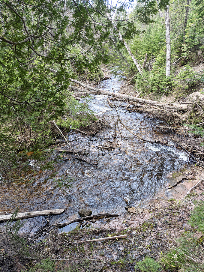 The stream continues its journey beyond the falls, whispering secrets to the forest as it winds toward Lake Superior.