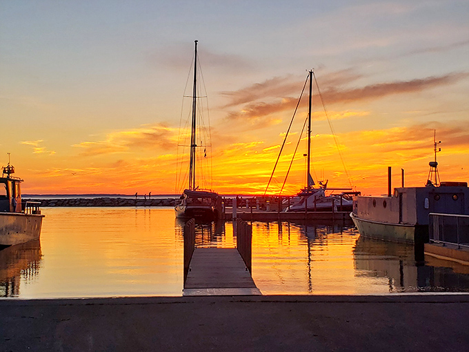 Sunsets here don't just happen, they perform, turning the harbor into liquid gold and making every boat look like a painting come to life.