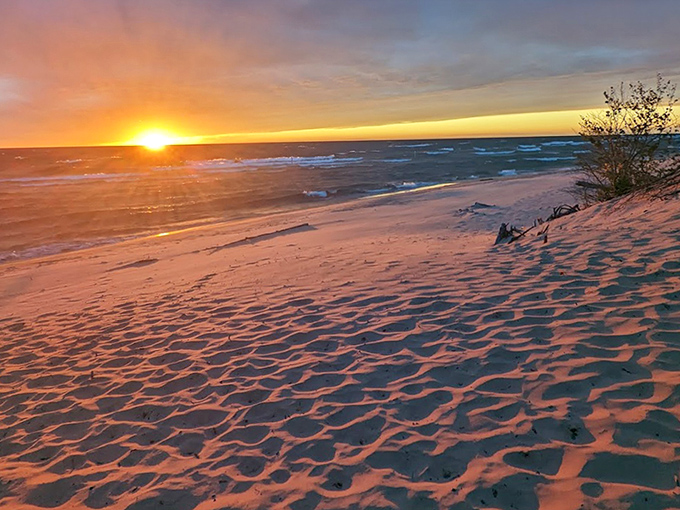 Lake Michigan puts on its nightly light show, turning the beach into front-row seats for nature's most spectacular free entertainment.