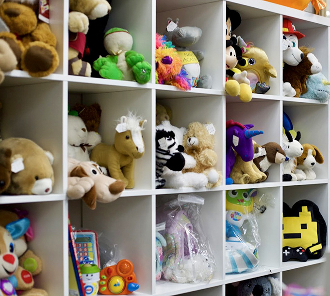 Stuffed animal adoption center! These cuddly creatures are looking for their forever homes &ndash; no pet food or vet bills required.
