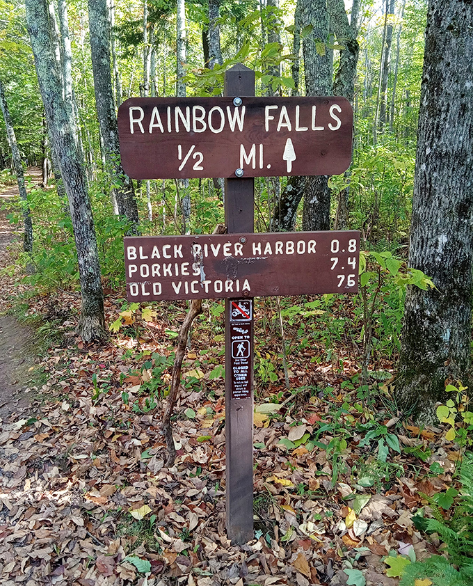 Trail markers stand sentinel in the forest, offering reassuring guidance and the promise of spectacular rewards just half a mile ahead.