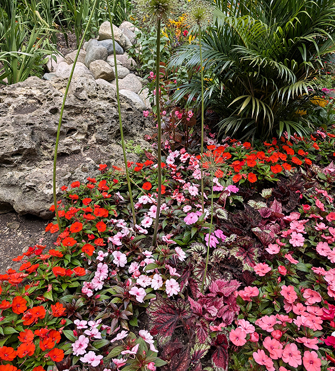 The gardeners' mastery of plant combinations turns this rocky outcropping into a celebration of nature's diversity, from spiky to soft.