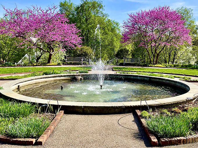 A fountain surrounded by vibrant redbud trees creates the perfect circular oasis, where the only acceptable activity is sighing contentedly while contemplating life's beauty.