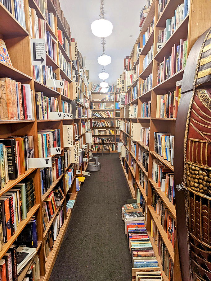 The narrow pathways between towering shelves create an intimate journey, where shoulders brush against knowledge from every conceivable discipline.