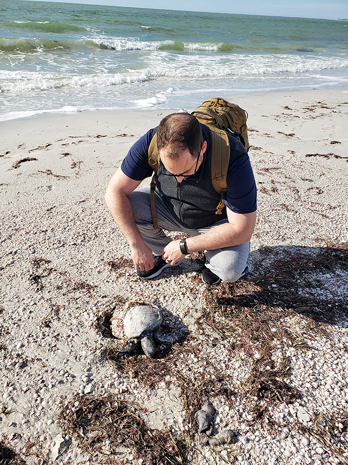 A beachcomber examines nature's treasures, proving sometimes the best souvenirs don't come from gift shops.