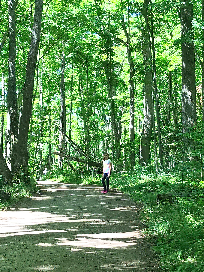 Solo hiking at its finest, where the only company you need is the sound of your footsteps and distant rushing water.