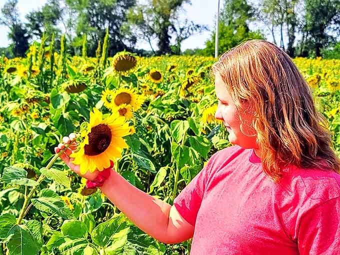 The vast expanse of Lake Michigan creates a perfect backdrop for lazy summer days, where time slows down and worries wash away.