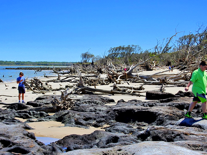 Explorers navigate the rocky shoreline where fallen trees create nature's obstacle course &ndash; part adventure, part geological time capsule.