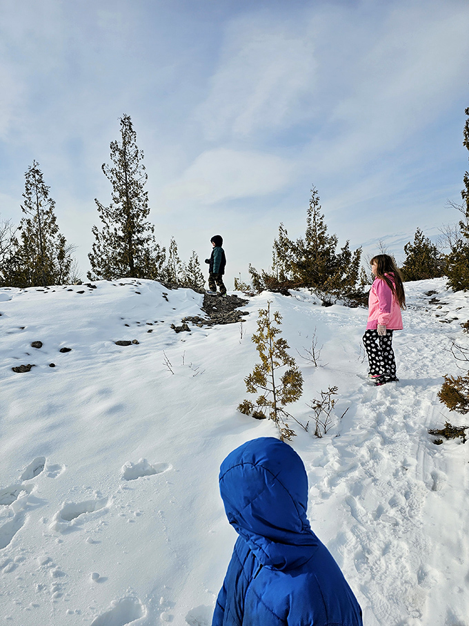 Another Visitors: Winter explorers discover a different kind of magic when snow transforms familiar landscapes into an uncharted wonderland.