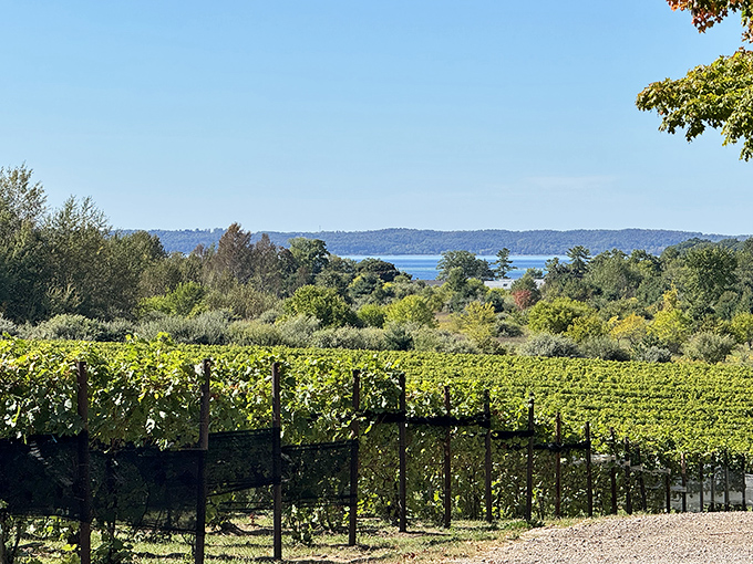 Bowers Harbor Vineyards proves Michigan can make wines that would make French vintners nervously adjust their berets in respect.