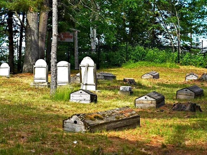 Traditional markers blend with the landscape, demonstrating the Ojibwa belief that we ultimately return to the earth.