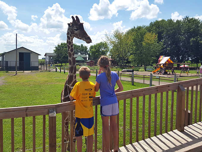 Small humans, tall tales: children create core memories while feeding creatures that seem straight out of a storybook.