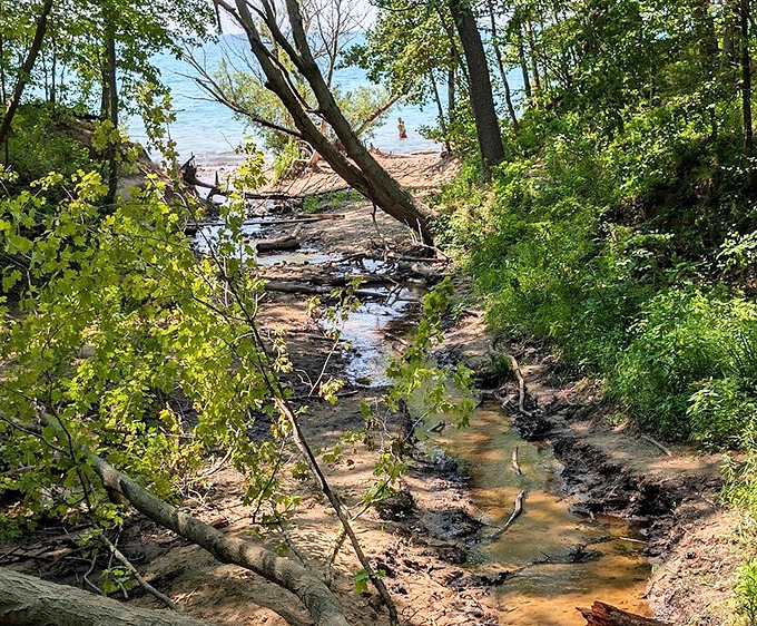 Creek: This gentle stream carries centuries of stories from forest to lake, creating its own miniature treasure hunt along the way.