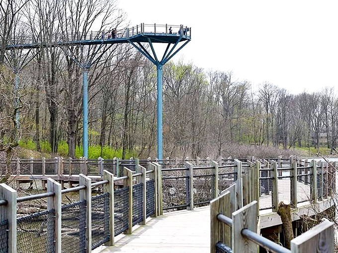 The observation tower stands sentinel over the marsh, rewarding climbers with panoramic views that make every step worthwhile.