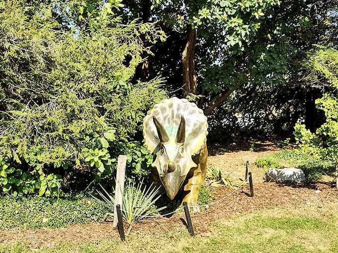 The Triceratops, with its three-horned face and protective frill, stands ready for photo ops in all seasons.